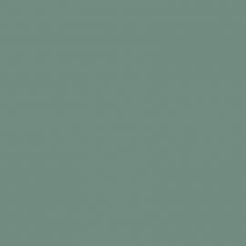 C1F SUBARU GREEN GRAY, SAGE GREEN